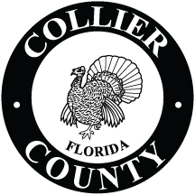 Collier Area Transit Disadvantaged Business Enterprise Program Update ...